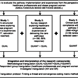 Flowchart showing simultaneous mixed methods model and multiple ...
