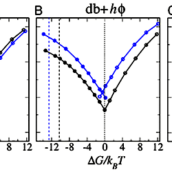 Model chevron plots.