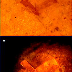 Sub-surface imaging.