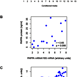 PAPPA expression in HSCs and HCC tissues.