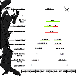 Map with bars showing spawning months of certain areas along the ...