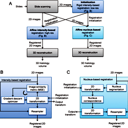 Diagram depicting the registration methods.