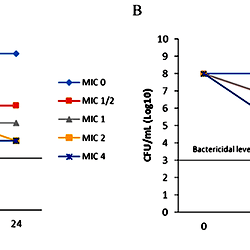 Time killing kinetics.