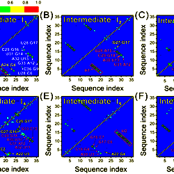 Average HB maps of the intermediates.