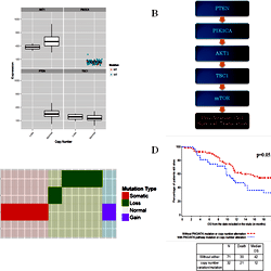 Association between mutations or CNV and OS.