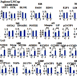 Real-time PCR is applied and relative gene expression levels are ...