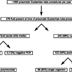 Flow Chart of PCR Analysis.
