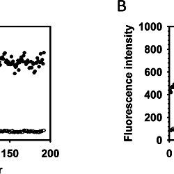 Validation of SYTOX Green assay robustness.