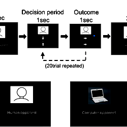 (a) Experimental task.