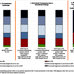 HIV care continuum stages for HIV-infected partners.