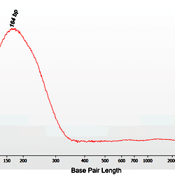 Electropherogram image of sheared gDNA, simulating cfDNA.