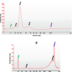 Bioanalyzer electropherograms of patient plasma cfDNA samples.