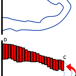 Schematic of the vessel segments assumed for flow calculations.