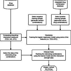 Flow chart of the training procedure.