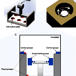 The mechanical hypergravity device.