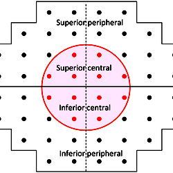 Mapping of the superior peripheral, superior central, inferior central ...