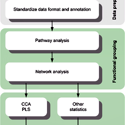 Workflow of metabolomics and transcriptomics data integration.