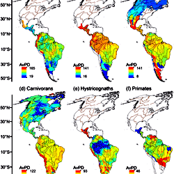 Spatial variation in phylogenetic diversity (AvPD).