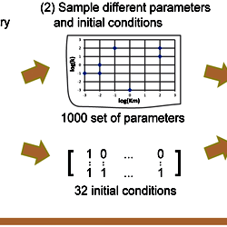 Workflow of continuous simulation.