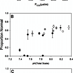 Proportion Normal Shell Development.
