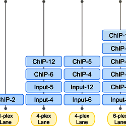 ChIP-seq multiplexing sequencing scheme.