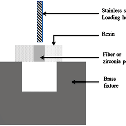 Schematic illustration of the push-out test.