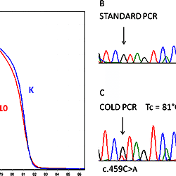 Validation of NF2 variant in an unknown NF2 mosaic patient.