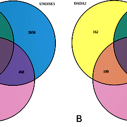 Venn diagram showing the overlap between the ASVs produced by three ...