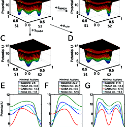 Relationship between physiological parameters and dynamic potential ...