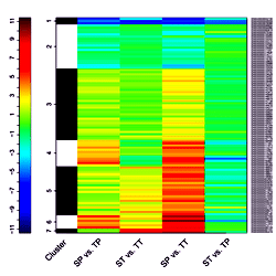 Heat map of log fold count (LogFC) of DE genes in the 4 contrasts.