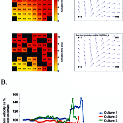 Comparison of vector maps with complete and incomplete data.