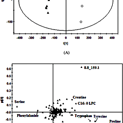 (A) Score plot and (B) loading plot derived from PCA model classifying ( ) model rats and ...