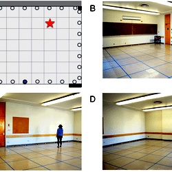 The testing space and the testing procedure.