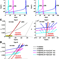 Dynamical explanation of the spike threshold dependence on dV/dt ...