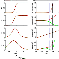 Spike threshold and corresponding biophysical basis produced by ...