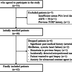 Flow chart of the patient enrollment.