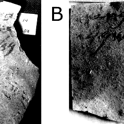 Examples of Samaria ostraca.