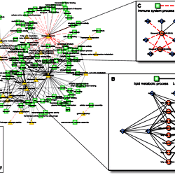 Pathway interaction network (PIN).