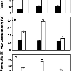 Free proline content, MDA content, and RMP in Col-0, Salk, and L3 after ...
