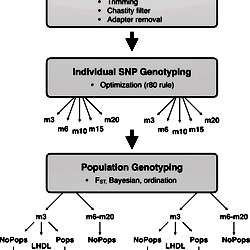 Flow chart of the bioinformatics pipeline and decisions required for ...