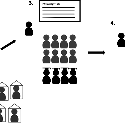 Setting of the peer-led flipped classroom concept.