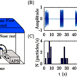 Schematic of experimental setup and representative raw data.