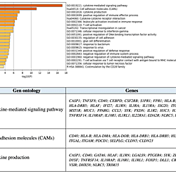 Gene ontology (GO) analysis of DEGs in RNA-seq analysis by Metascape tool.
