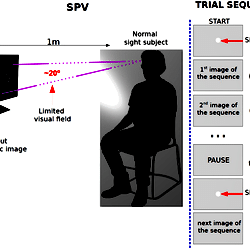 SPV and trial setup.