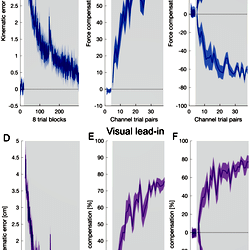 Adaptation to two opposing force fields.