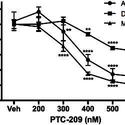 Effect of PTC-209 treatment on viability of canine OSA cell lines.