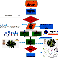 Flowchart showing the various steps involved in this study.