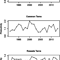 Productivity of three tern species on Coquet Island.