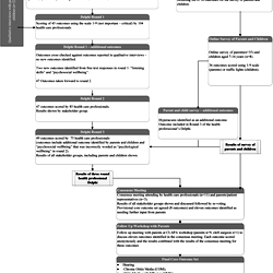 Overview of the COS development process.