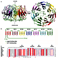 The overview of the structure of AAL2.